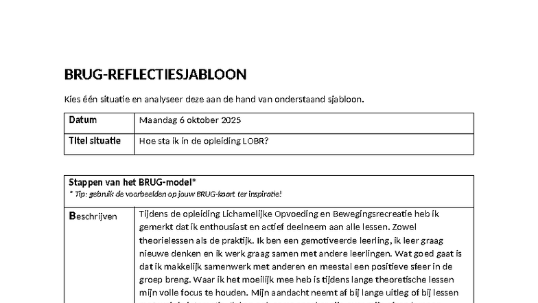 Reflectie op mijn ontwikkeling in de opleiding LOBR - BRUG-sjabloon ...