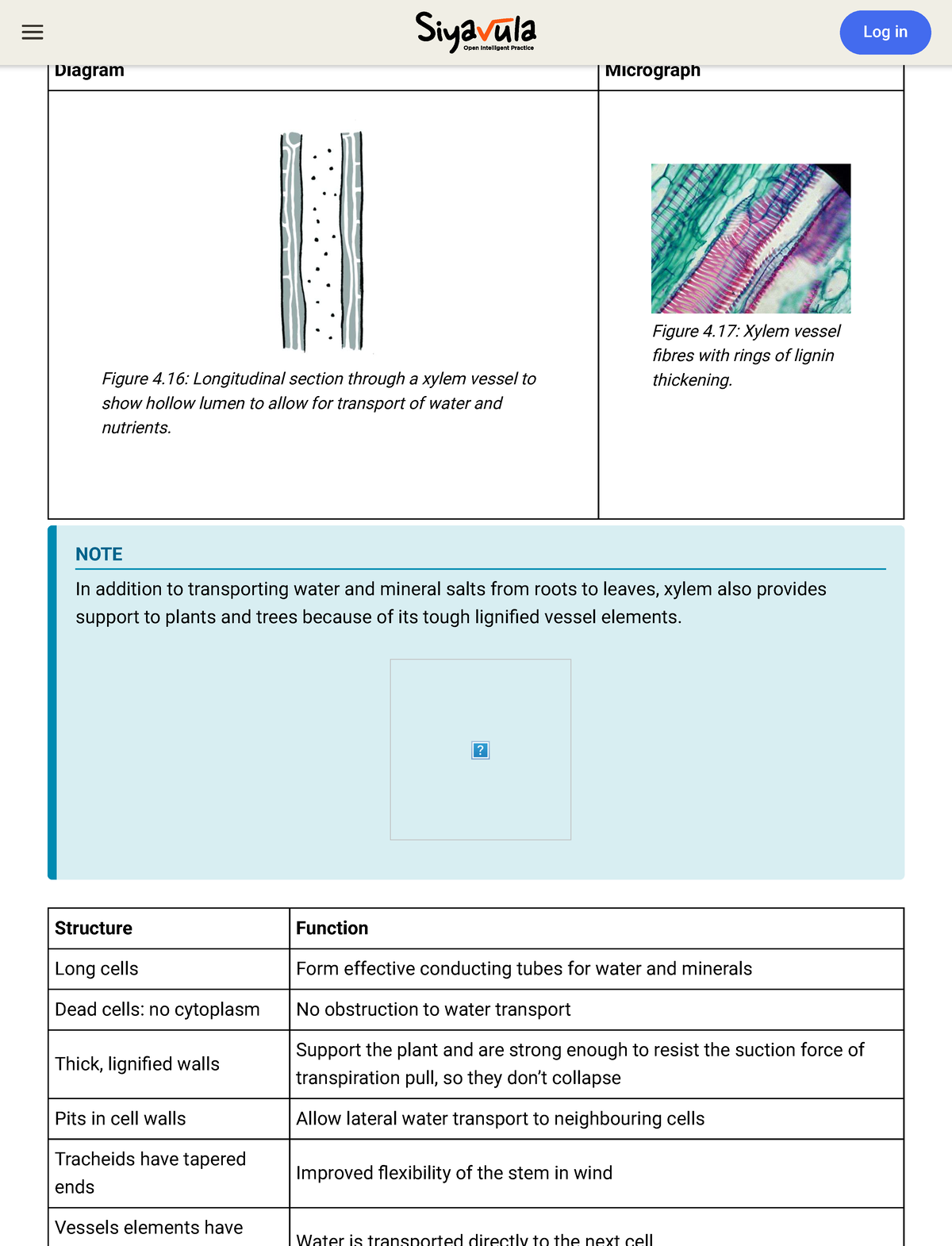 4.3 Plant Tissues: Xylem Structure and Function Analysis - Studocu