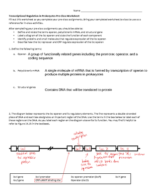 Life Science 7A -Week 5a Nucleic Acids and Transcription Reading Guide ...