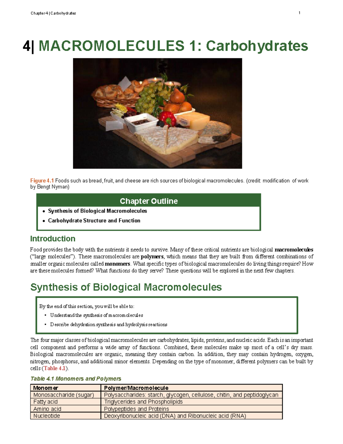Biological Macromolecules: Synthesis & Function of Carbohydrates ...