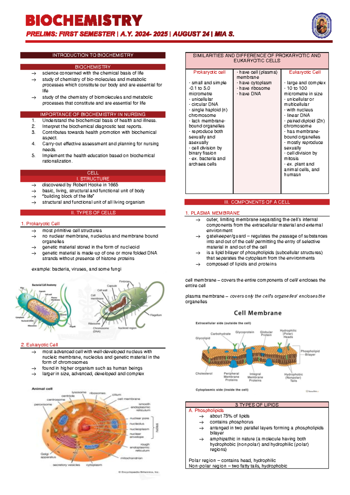 CHE103 Prelims - Biochemistry: Cell Structure & Functions Notes - Studocu