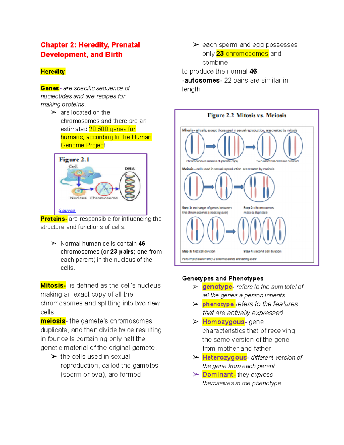 Psych-170 chap2Lally - developmental stages of human - Chapter 2 ...