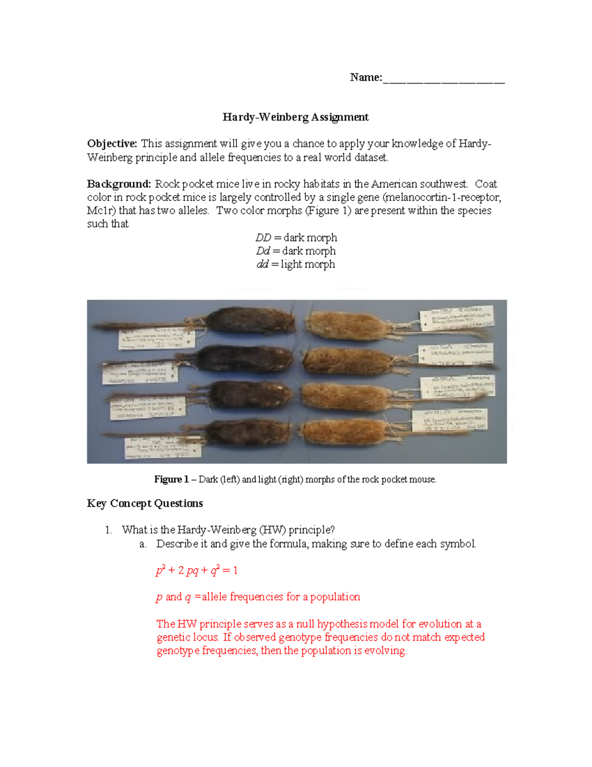 Rock Pocket mice Module (key) - Name:_____________________ Hardy ...