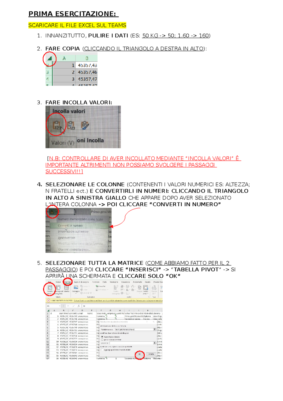 PRIMA ESERCITAZIONE: Guida Passaggi per Excel e Tabelle Pivot - Studocu