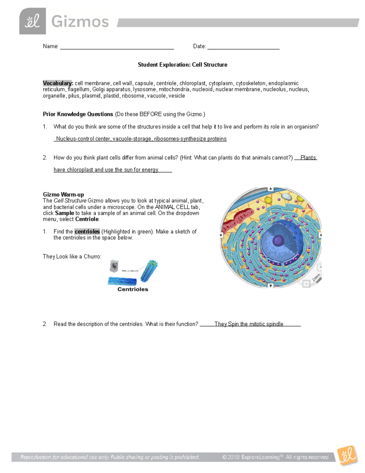Student Exploration: Cell Structure & Organelles - SE - Studocu