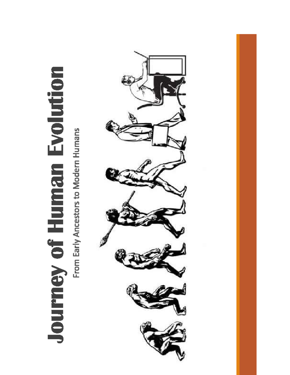 PPT Presentation on Human Evolution: From Ancestors to Modern Humans ...