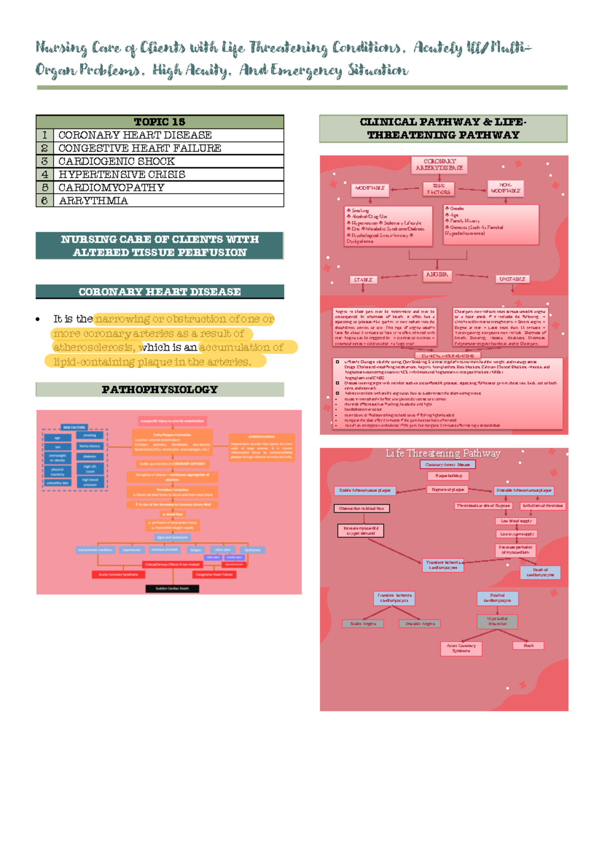 Nursing Care for High Acuity Clients: Life-Threatening Conditions - Studocu