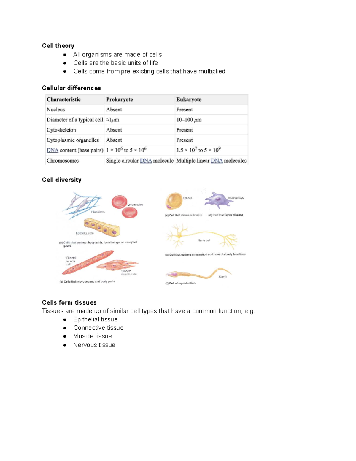 Bio 101 Lecture 1: Overview of Cell Theory and Organ Systems - Studocu