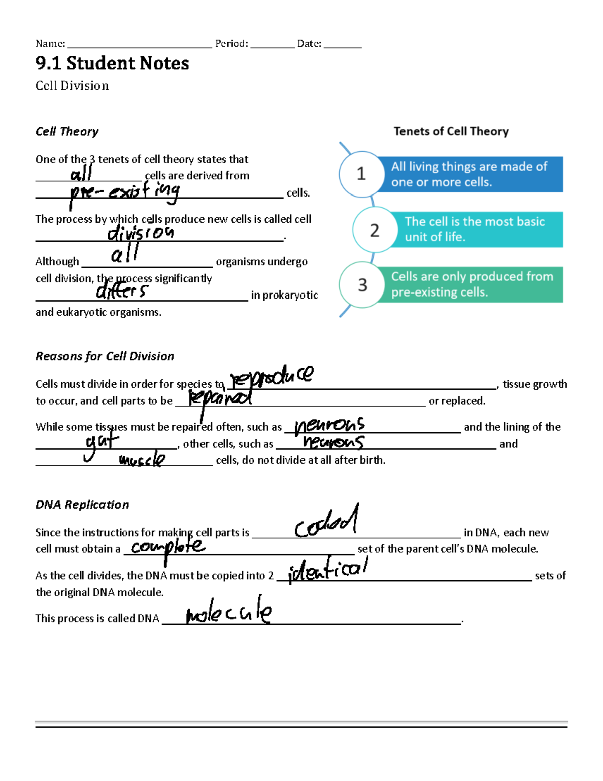 9.2 Student Notes: The Cell Cycle and Cell Division Processes - Name ...