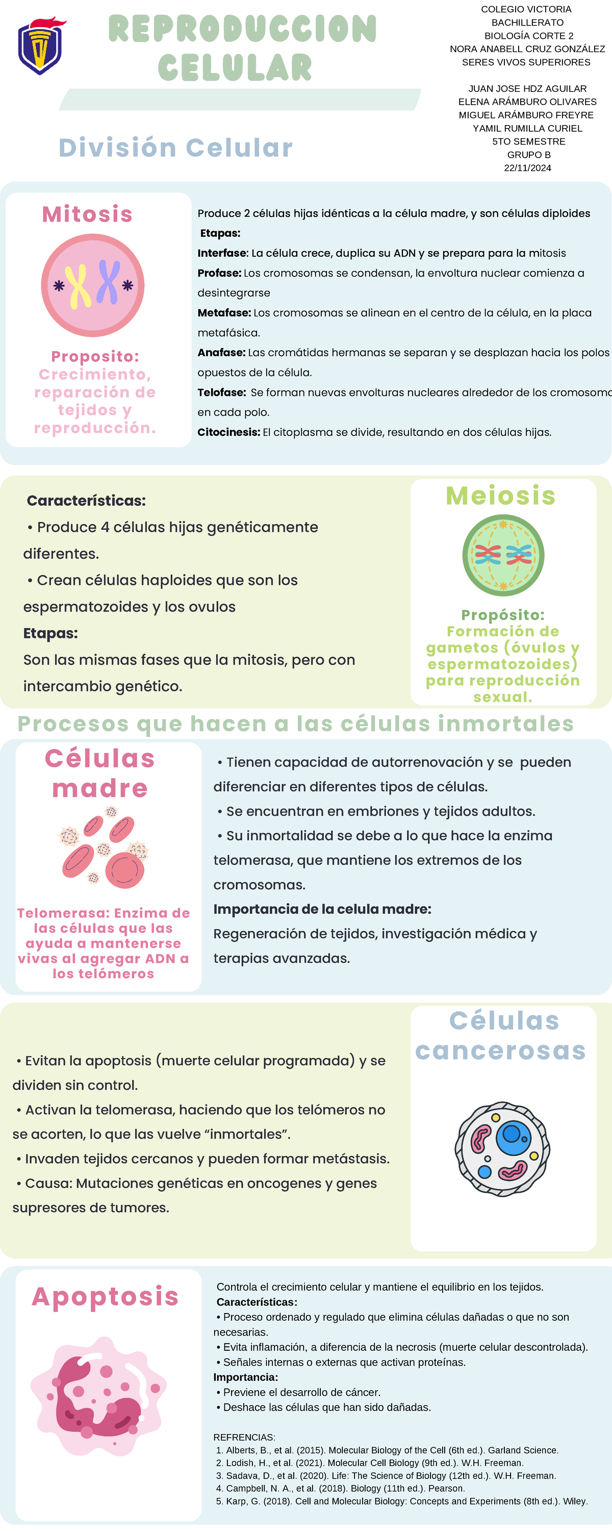 Infografía sobre Reproducción Celular - Biología 5to Semestre - Studocu