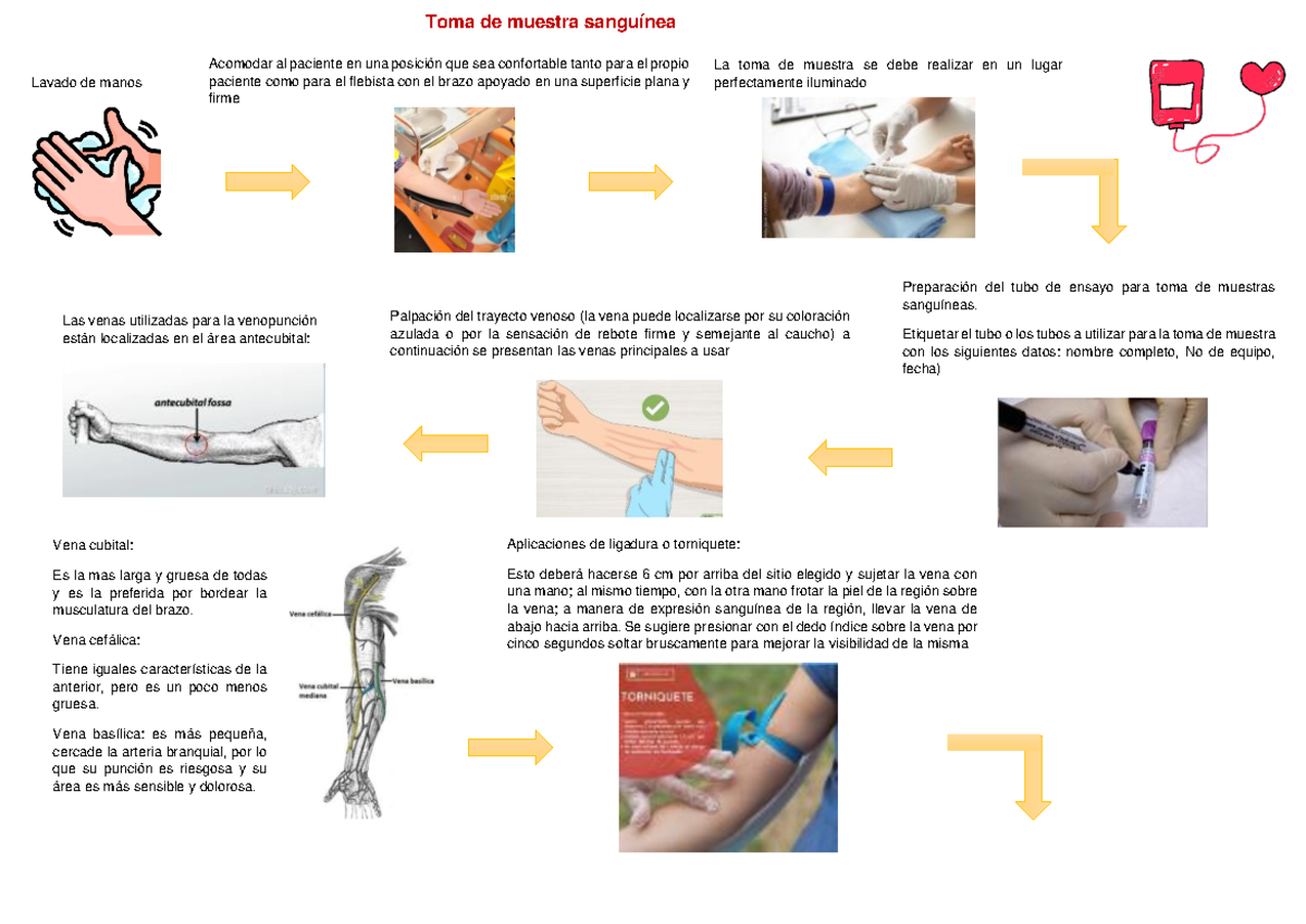 Toma de Muestra Sanguínea: Extracción de Sangre Venosa - Studocu