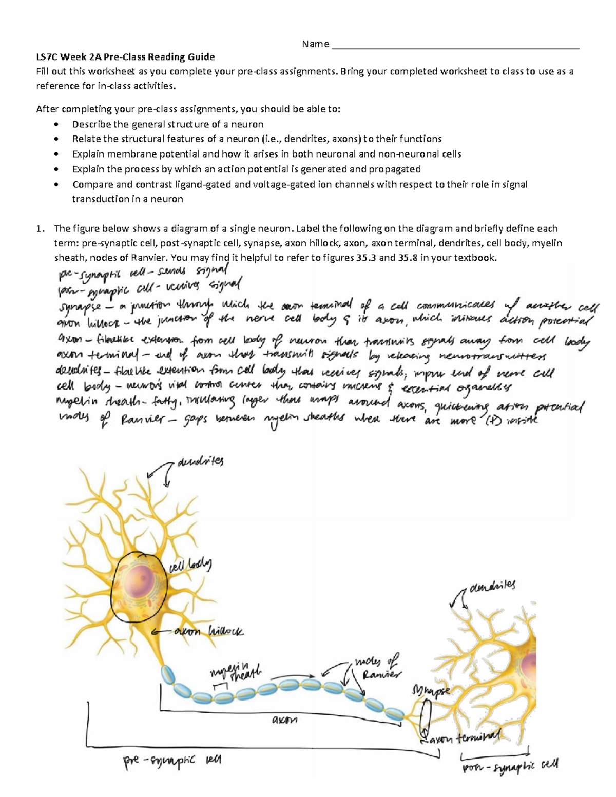 LS7C Week 2A Neuron Structure & Function Reading Guide - Studocu