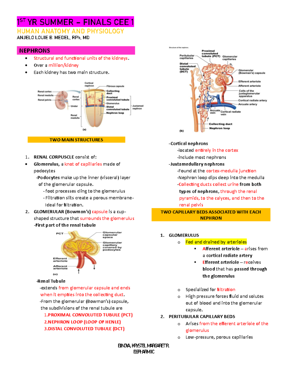 Anaphysio notes - 1 YR SUMMER – FINALS CEE 1 HUMAN ANATOMY AND ...
