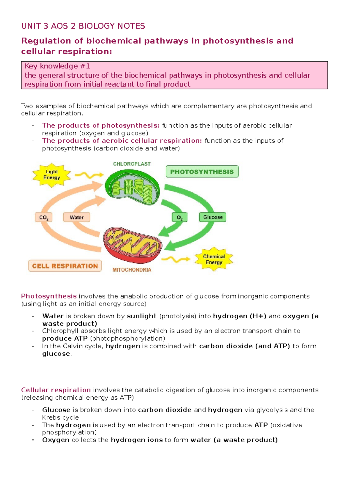 Unit 3 AOS 2 biology notes on biochemical pathways in photosynthesis ...