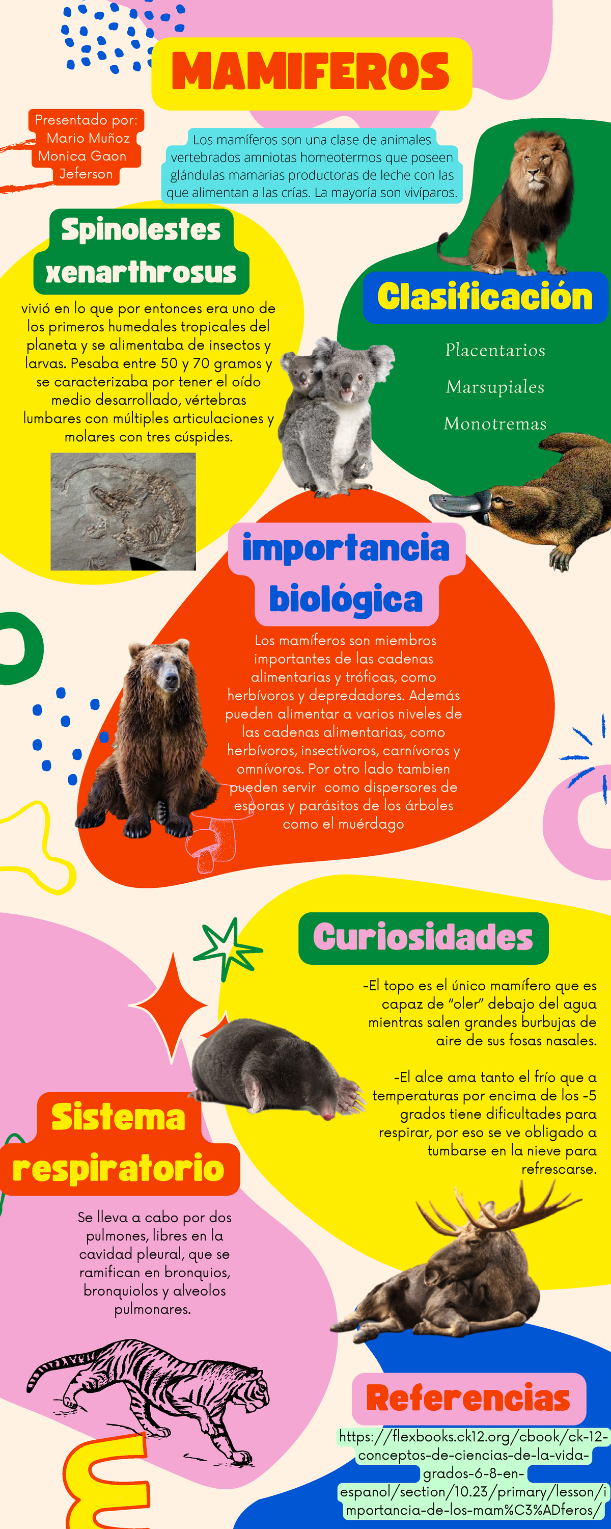 Mamiferos - ..... - importancia biológica MAMIFEROS Presentado por: Mario Muñoz Monica Gaon ...