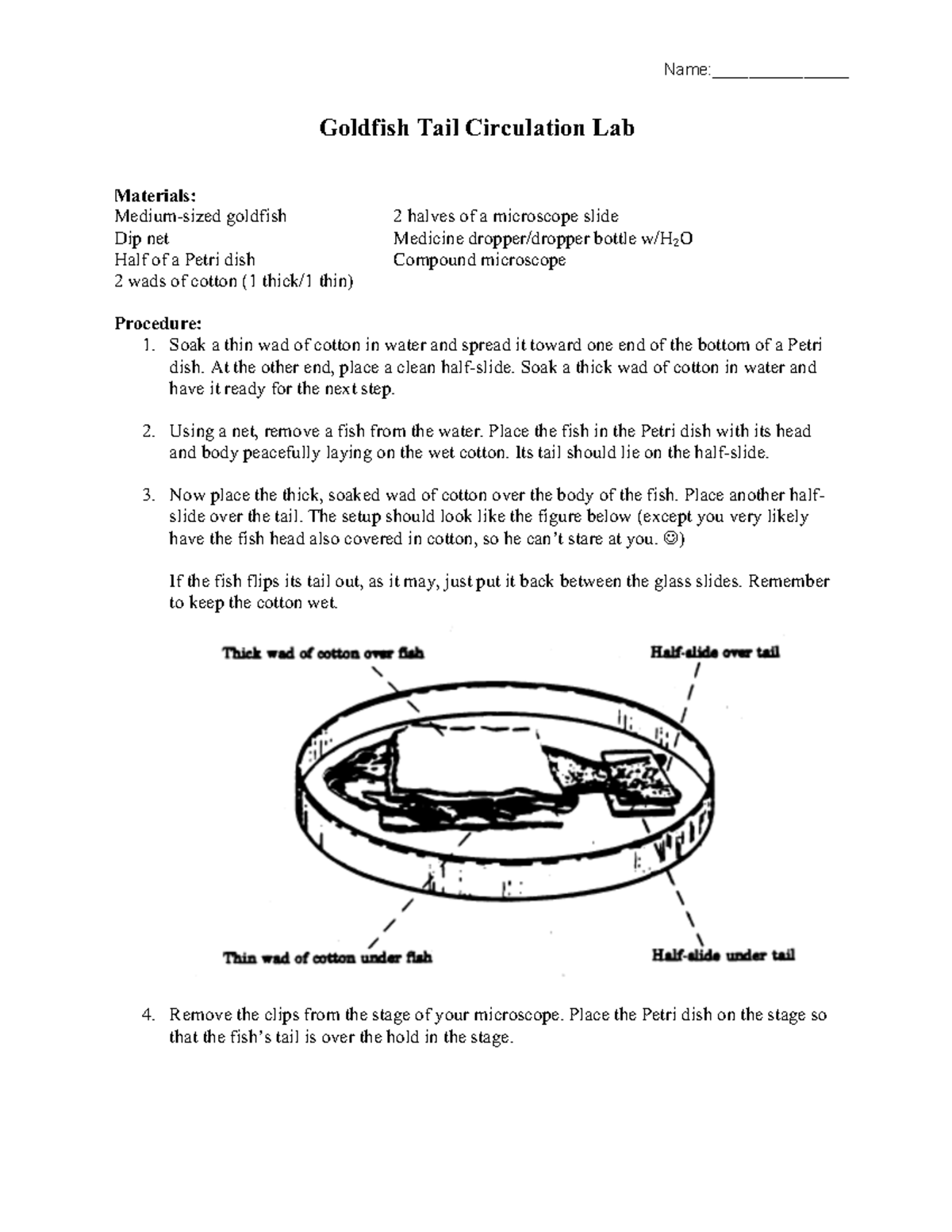 Goldfish Tail Circulation Lab - Goldfish Tail Circulation Lab Materials ...