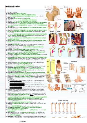 EL Medico - EL MEDICO El libro trata sobra la vida de Rob, que se quedó ...