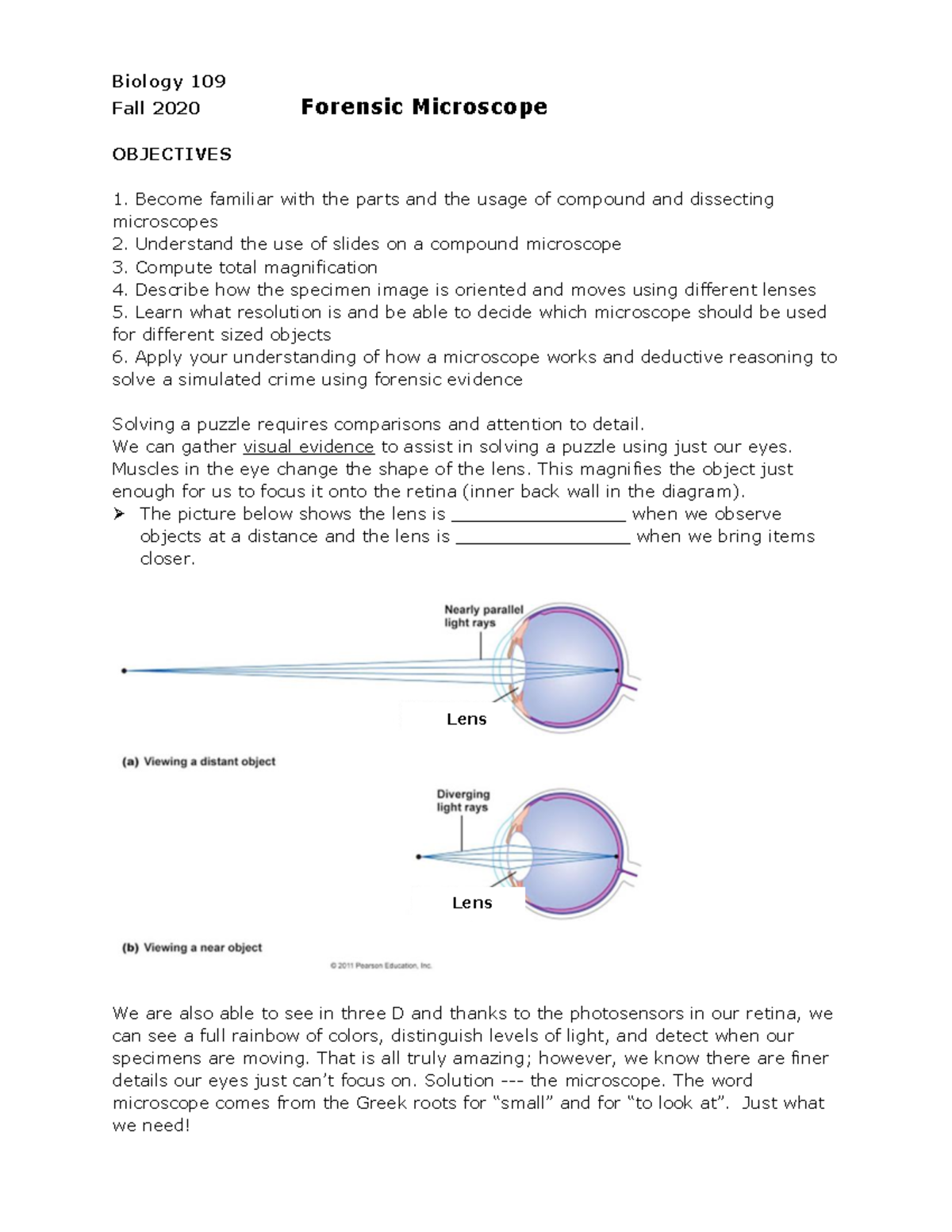 Lab 02: Forensic Microscope Analysis in BIO109 - Fall 2020 - Studocu