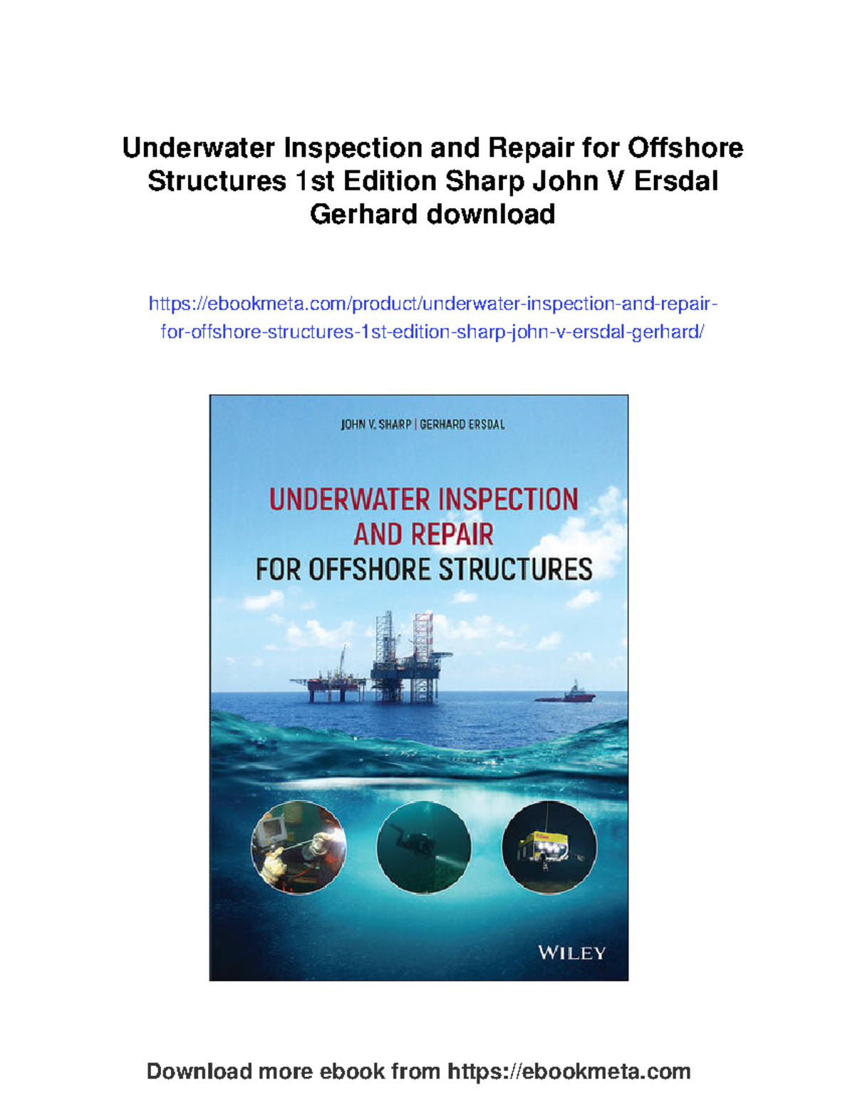 Underwater inspection and repair for offshore structures (17085) - Studocu