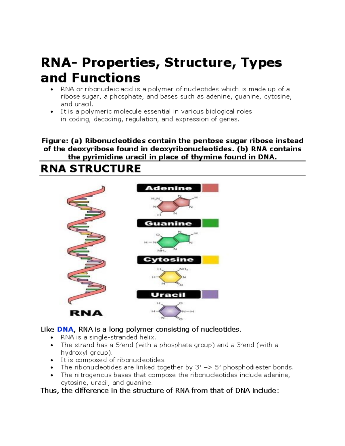 2BD2BC4915966180050 - RNA structure and types - RNA- Properties ...