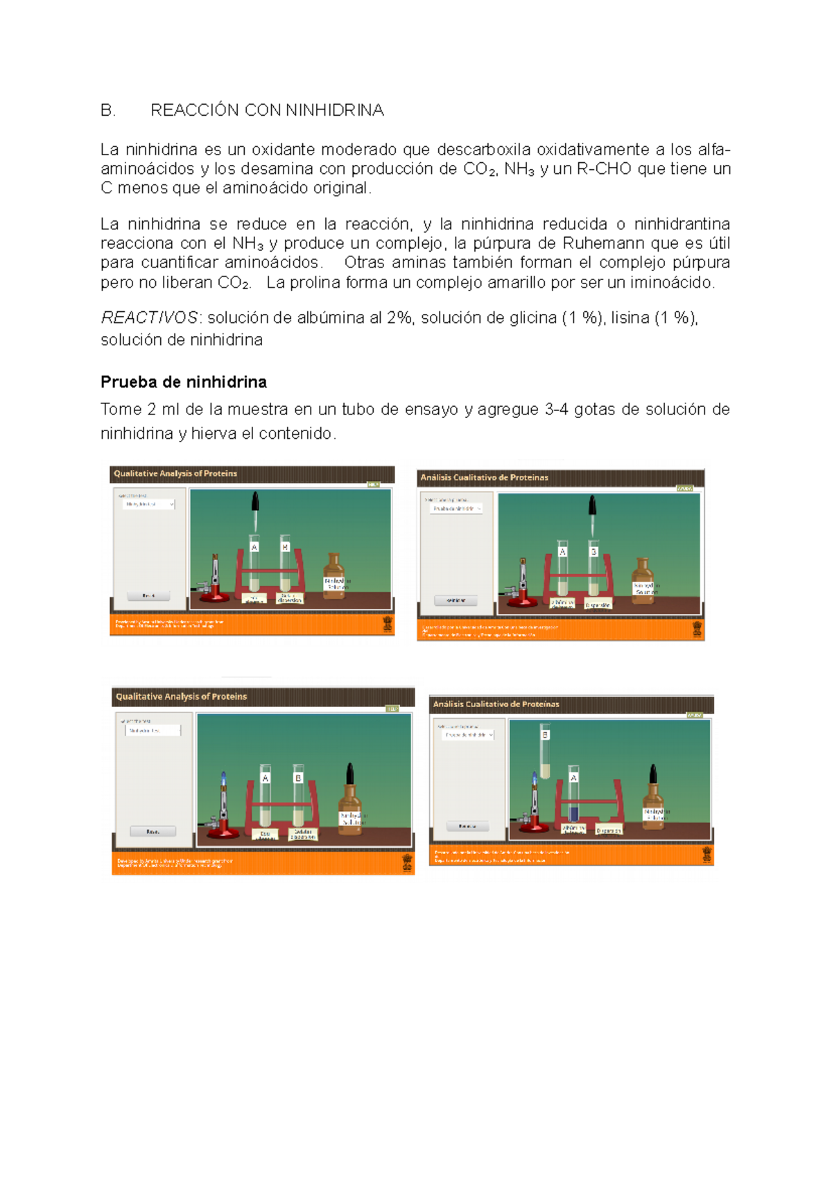 Reacción Ninhidrina: Apuntes sobre la Detección de Aminoácidos - Studocu