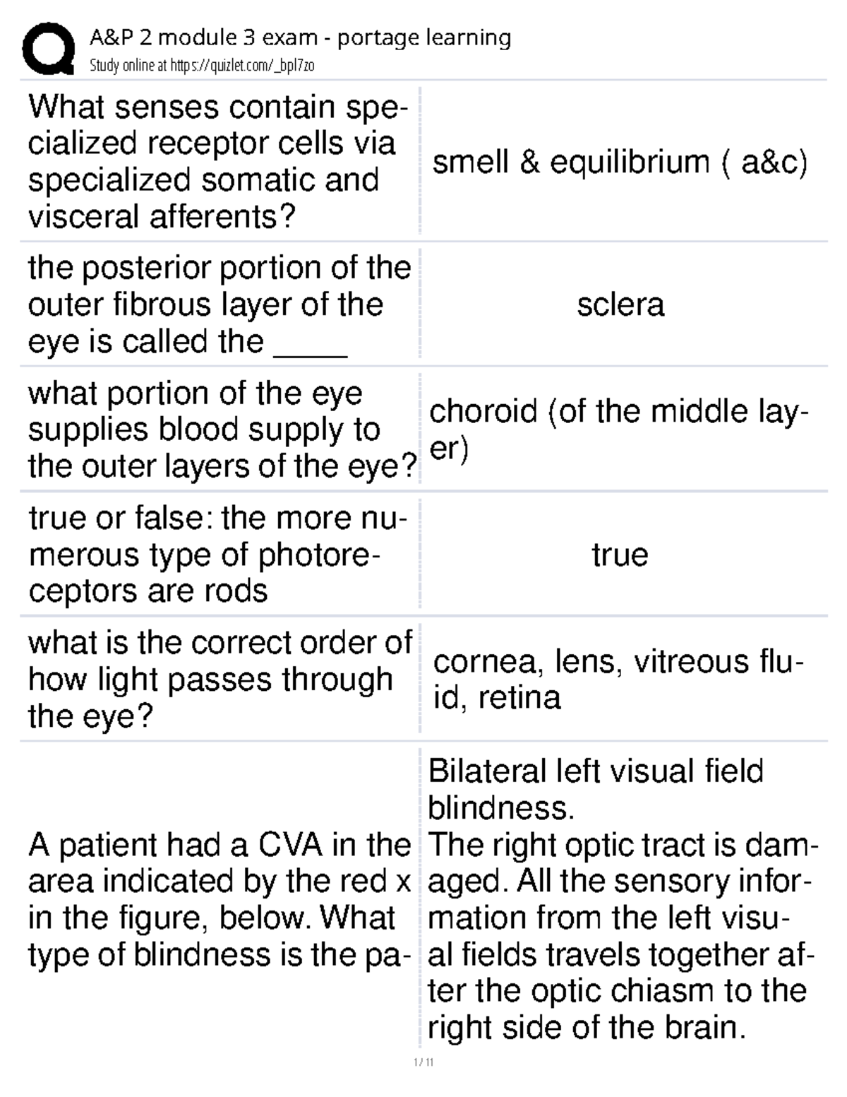 A&P 2 Module 3 Exam: Eye, Vision, and Sensory Nerves Study Guide - Studocu