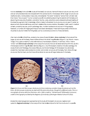 [Solved] Which of the following statements about enzymes is true The ...