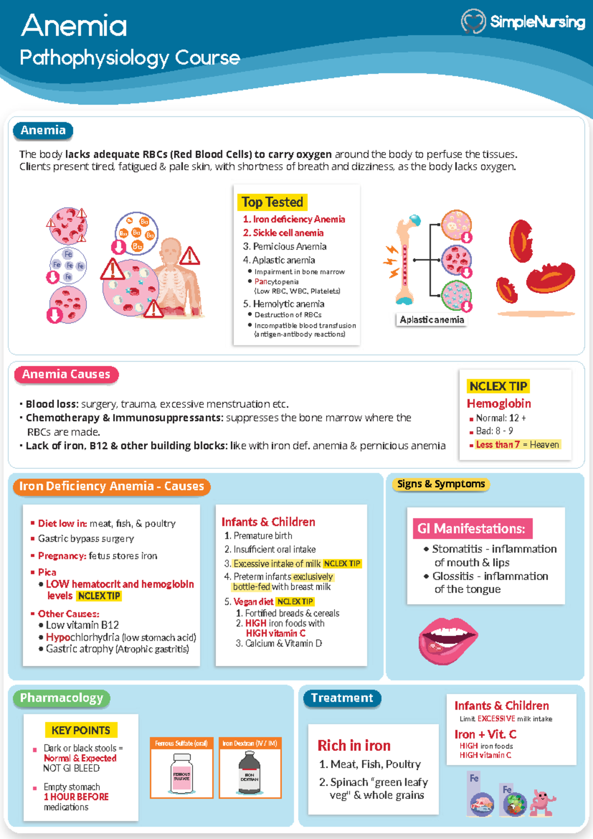 Anemia Pathophysiology Course: Key Concepts and NCLEX Tips - Studocu