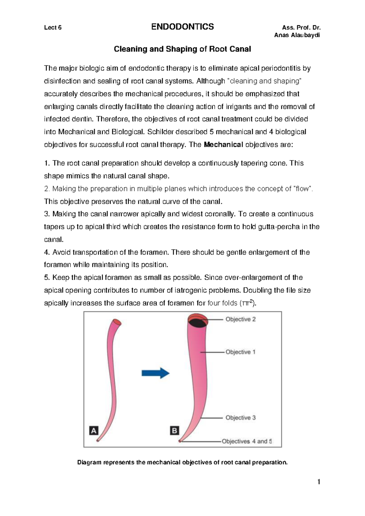 Endodontics Lecture 6: Cleaning and Shaping of Root Canals - Studocu