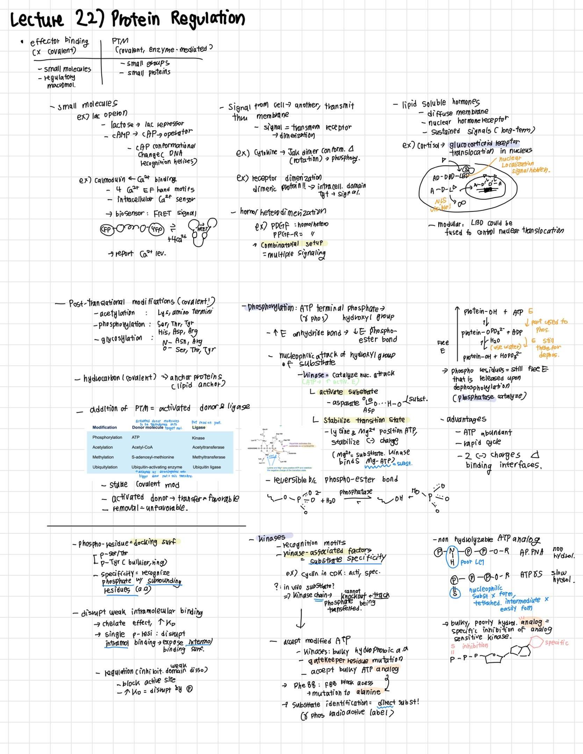 Notes-17 - Notes - Lecture 22) Protein Regulation effector binding PTM ...