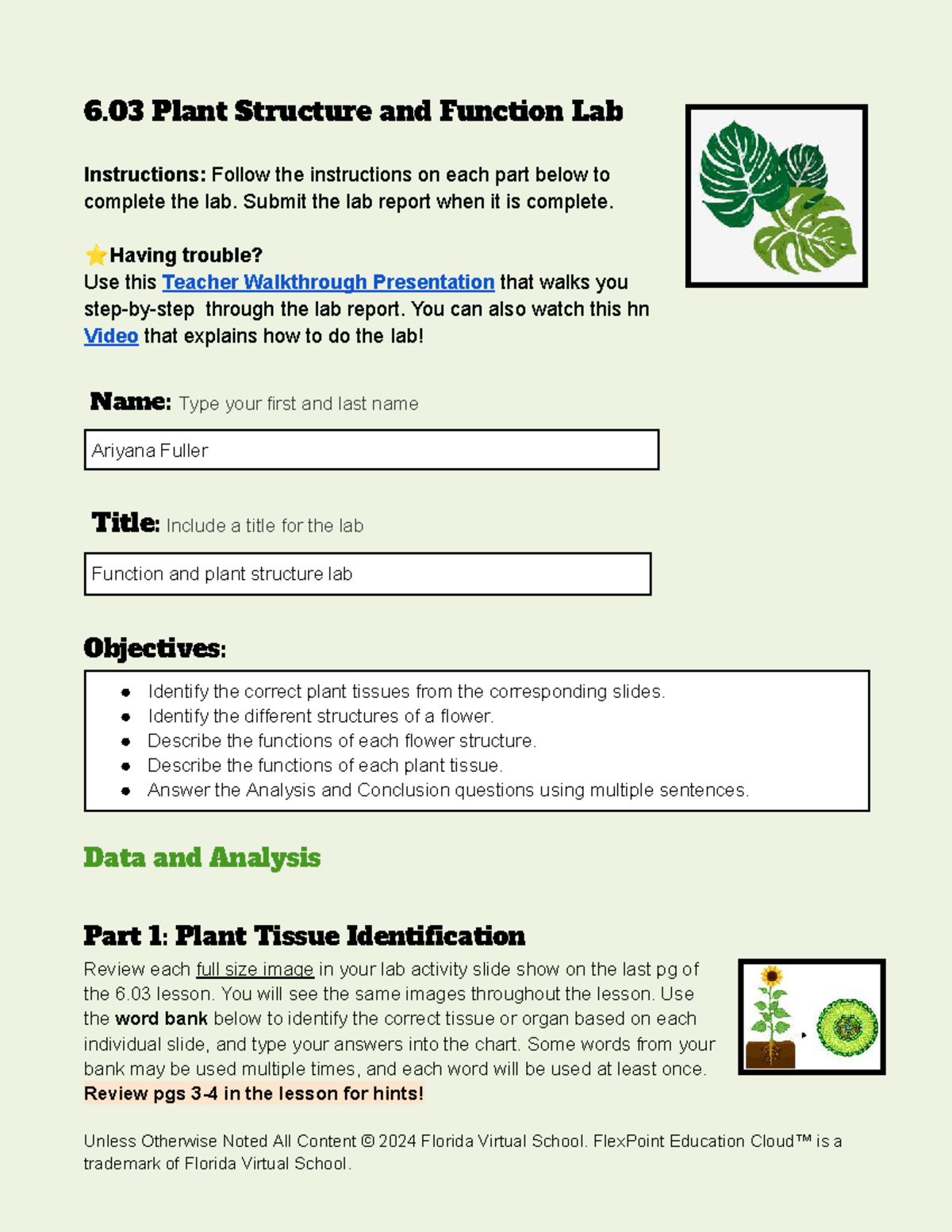 6.03 Plant Structure and Function Lab Report Instructions - Studocu