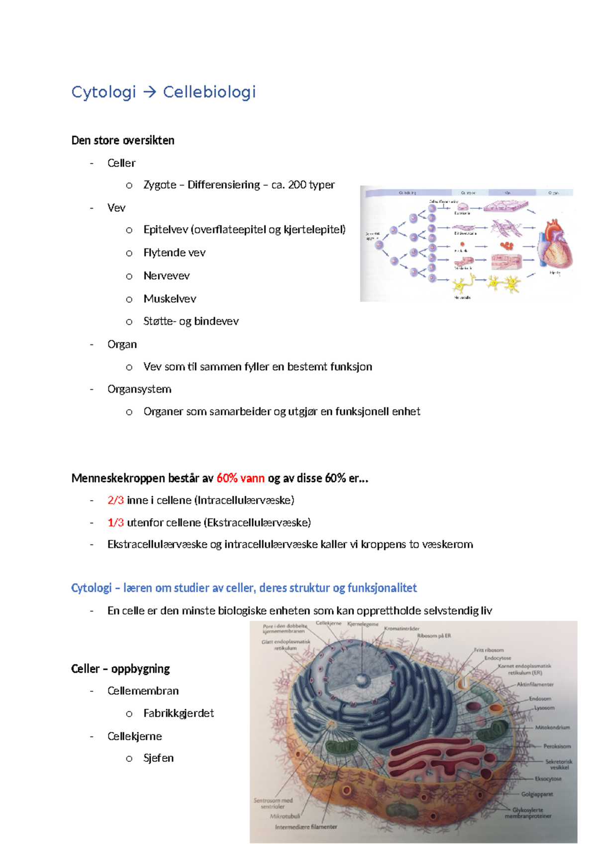 Cellebiologi - Eksamen Oppsummering: Anatomi, Fysiologi, Biokjemi & Mikro - Studocu