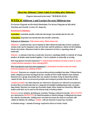 Module 9 ALQs-1 - alq 9 - Module 9 ALQs 1. Think about Photosynthesis ...