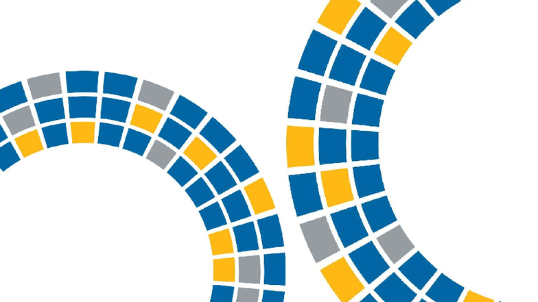 NPI 5-Year Business Plan: Strategic Goals & Community Impact - Studocu