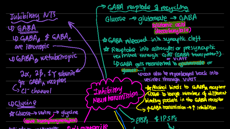 Neuroscience Notes: GABA Reuptake & Inhibition Mechanisms (Group ...