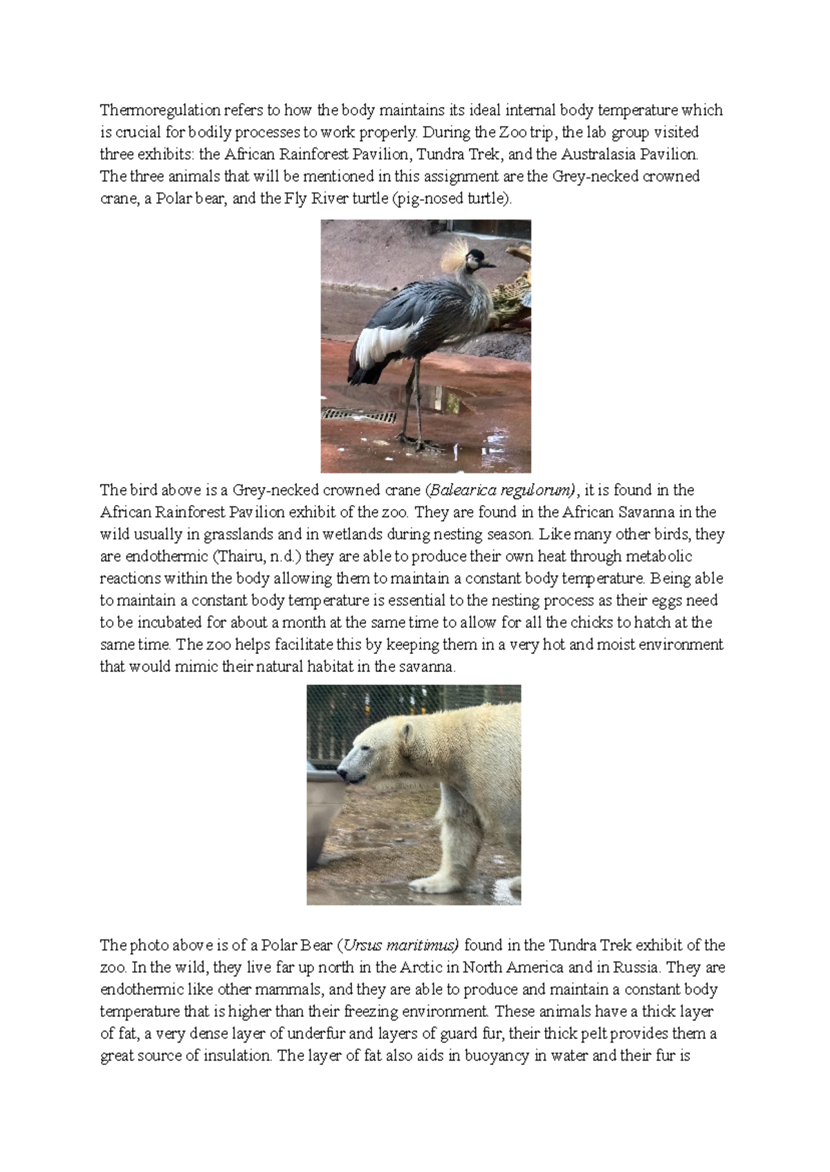 Lab 4 Assignment - zoo trip - Thermoregulation refers to how the body ...