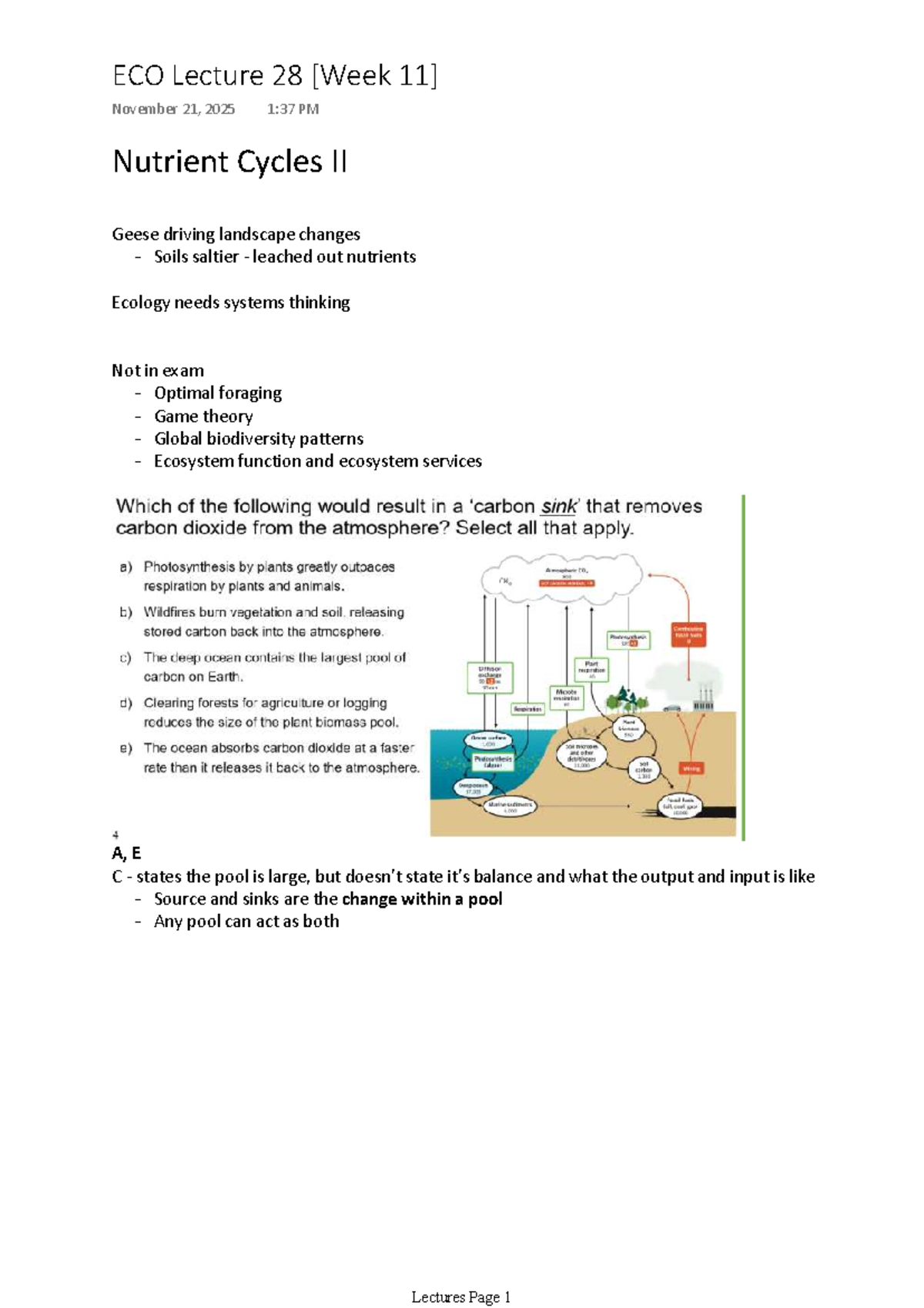 ECO Lecture 28: Nutrient Cycles II Overview - Studocu