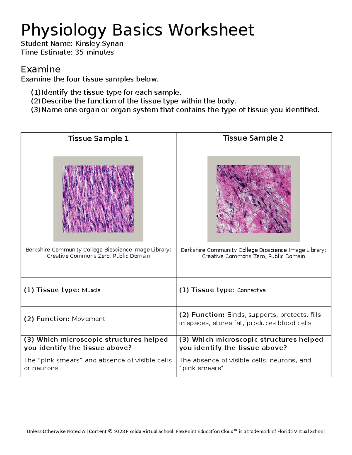 Physiology Basics Worksheet: Tissue Types and Functions Analysis - Studocu