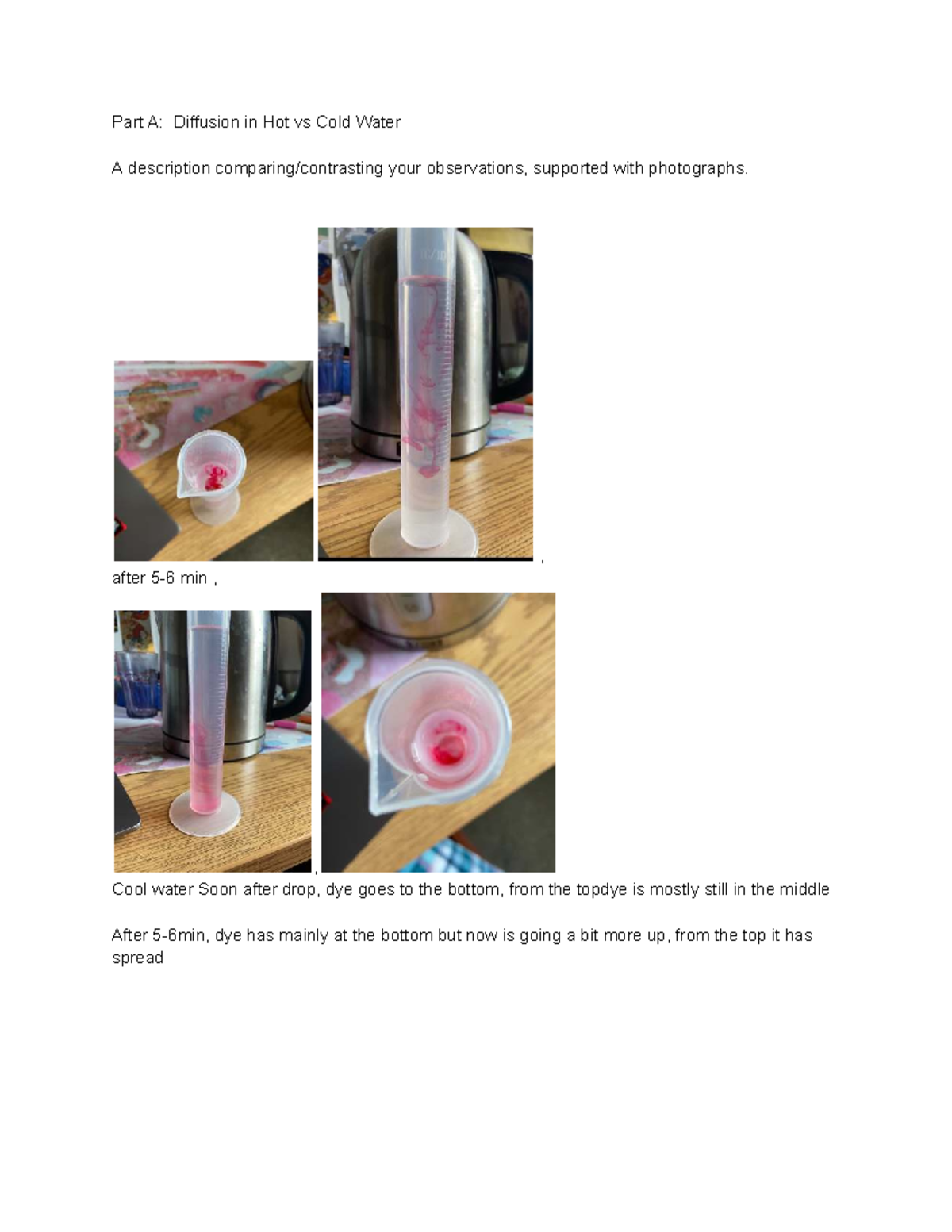 Part A: Diffusion Observations in Hot vs Cold Water - Studocu