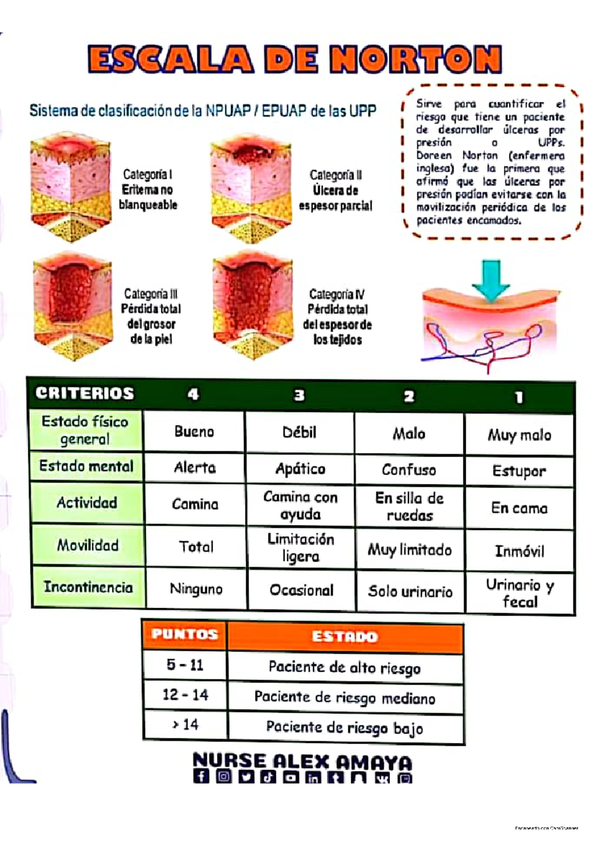Escalas de valoración - ESCALA NORTON Sistema de clasificación de la NPUAP EPUAP de las UPP ...
