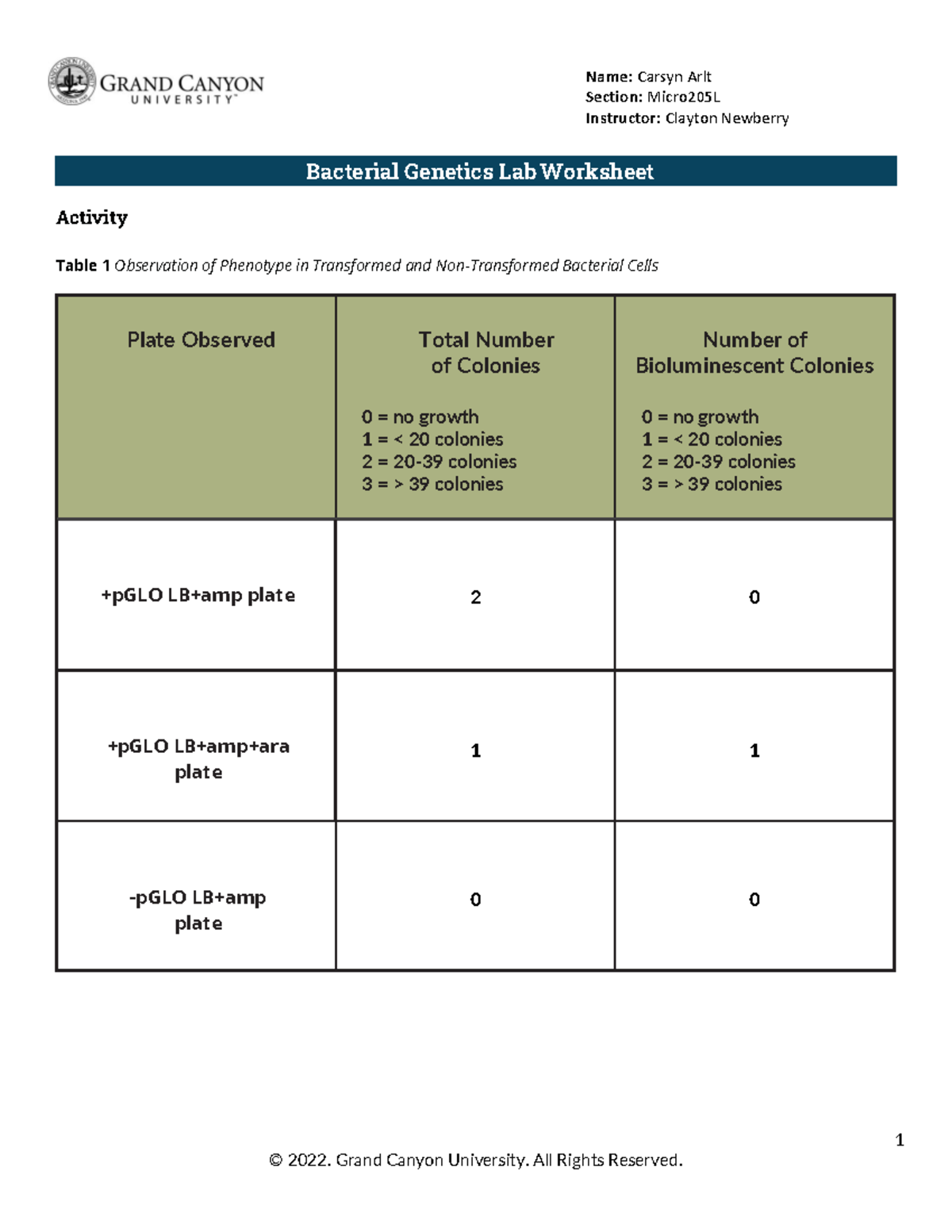 BIO-205LBacterial Genetics WS - Section: Micro205L Instructor: Clayton ...