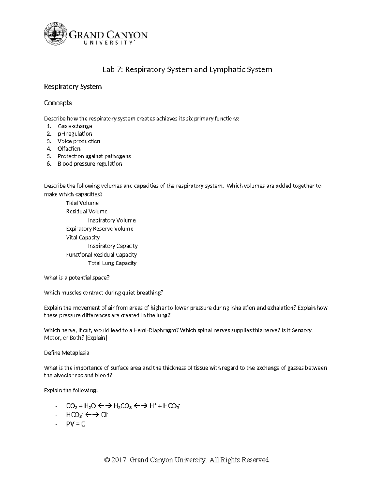 Lab 7: Detailed Overview of the Respiratory and Lymphatic Systems - Lab ...
