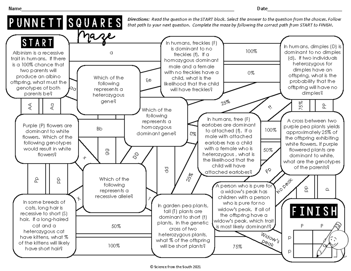 Punnett Square maze - p 100% 75% Bb 75% PP 0% AA Aa © Science from the ...