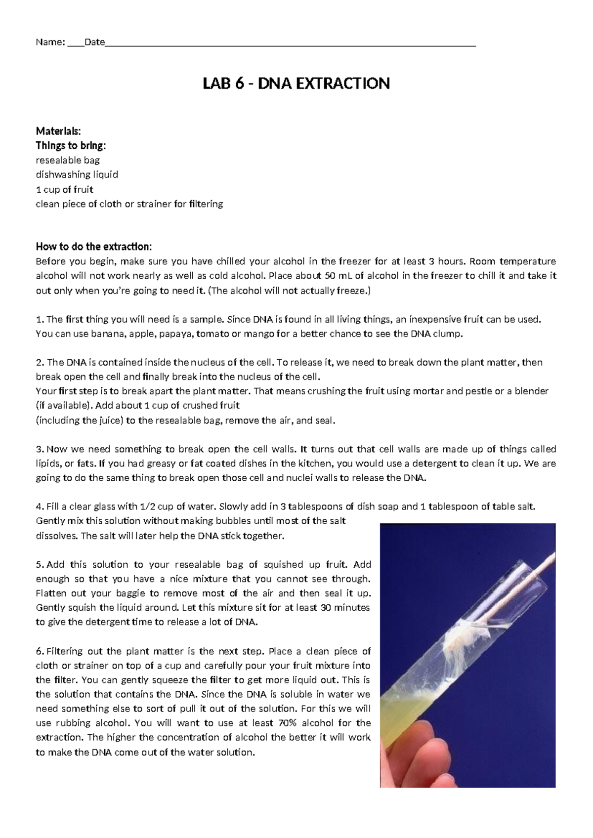 DNA Extraction - Name: Date LAB 6 - DNA EXTRACTION Materials: Things to ...