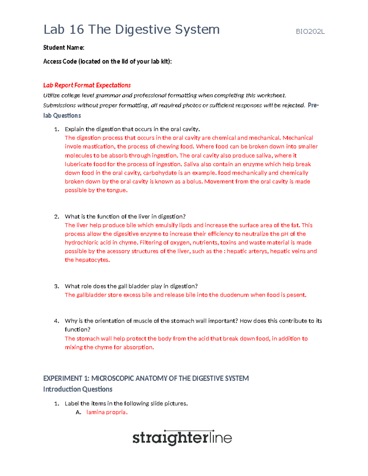 BIO202 Lab 16 - Digestive System Exploration and Observations - Studocu