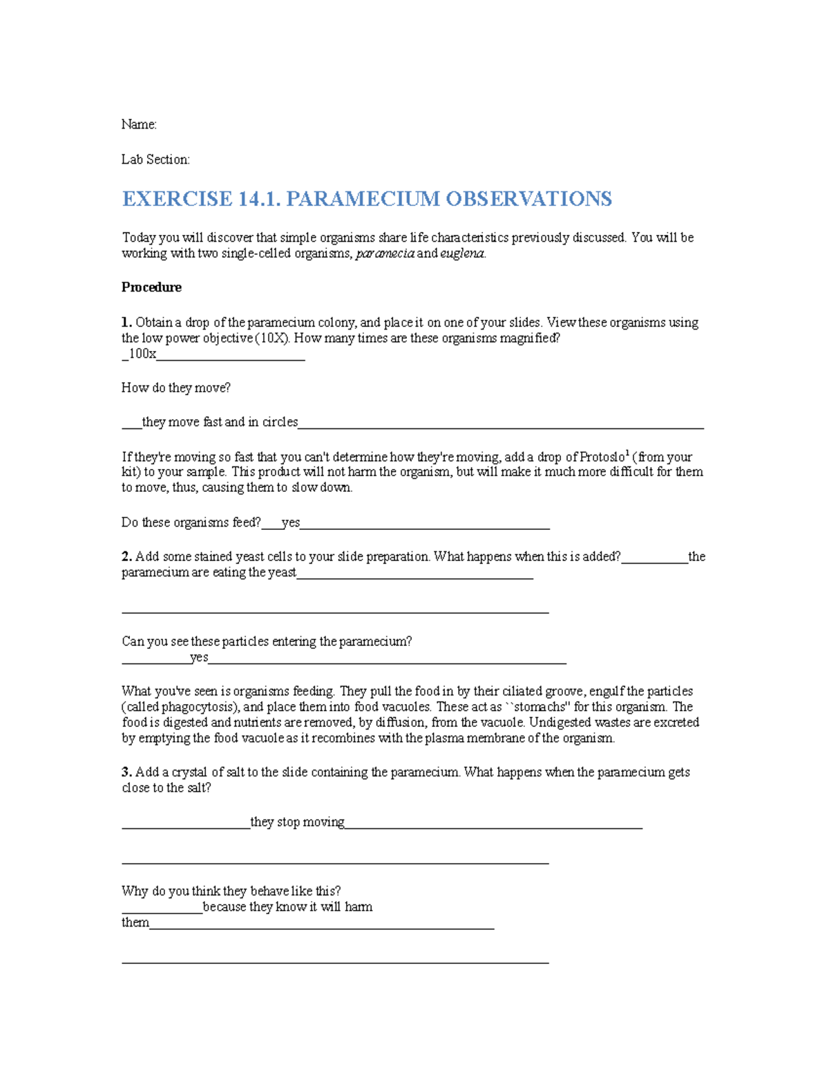 Lab 14: Paramecium and Euglena Observations - Lab Work Guide - Studocu