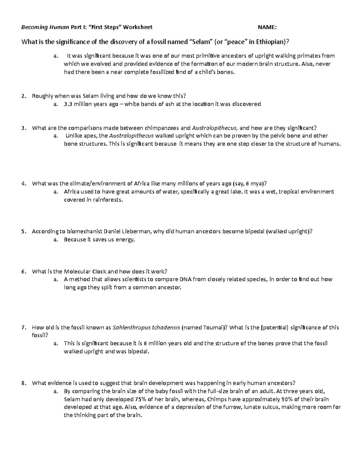 Becoming Human Part I - Video Worksheet Analysis and Insights - Studocu
