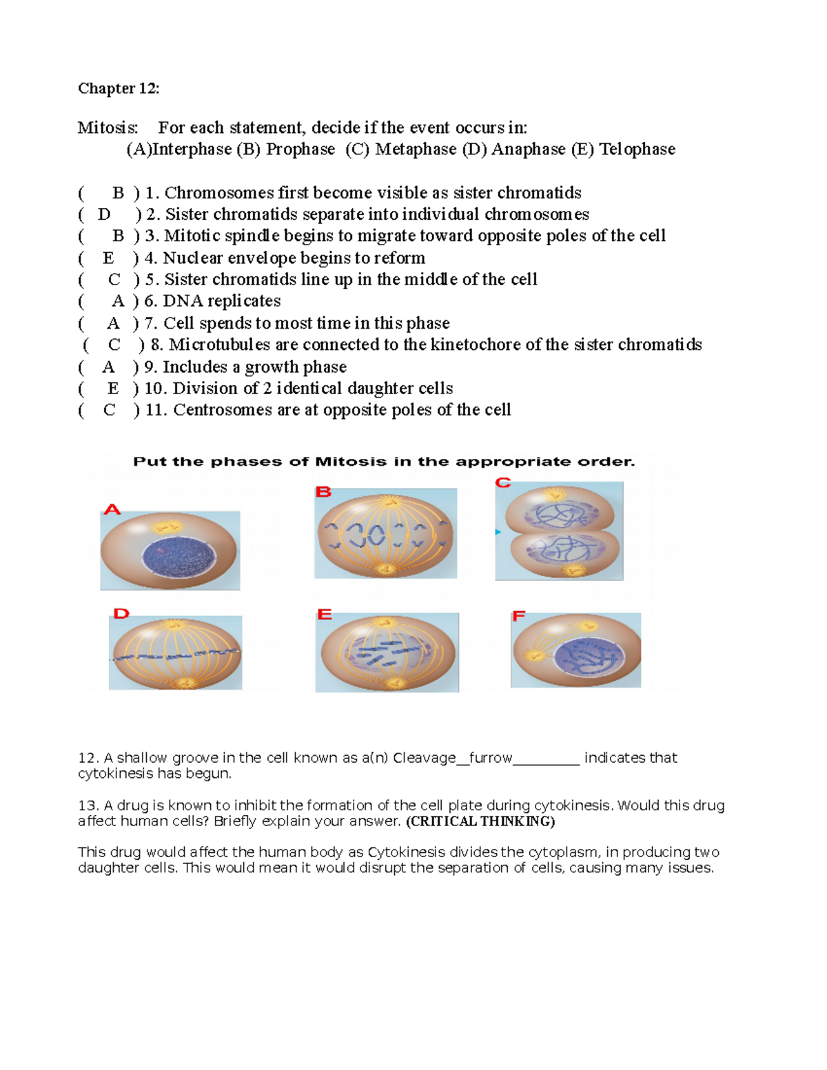 Bio HW CH12 - Mitosis & Meiosis Events and Cell Cycle Overview - Studocu