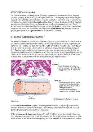 Histologie - HOOFDSTUK 7: spierweefsel 7 SKELETSPIERWEEFSEL 7.1 ...