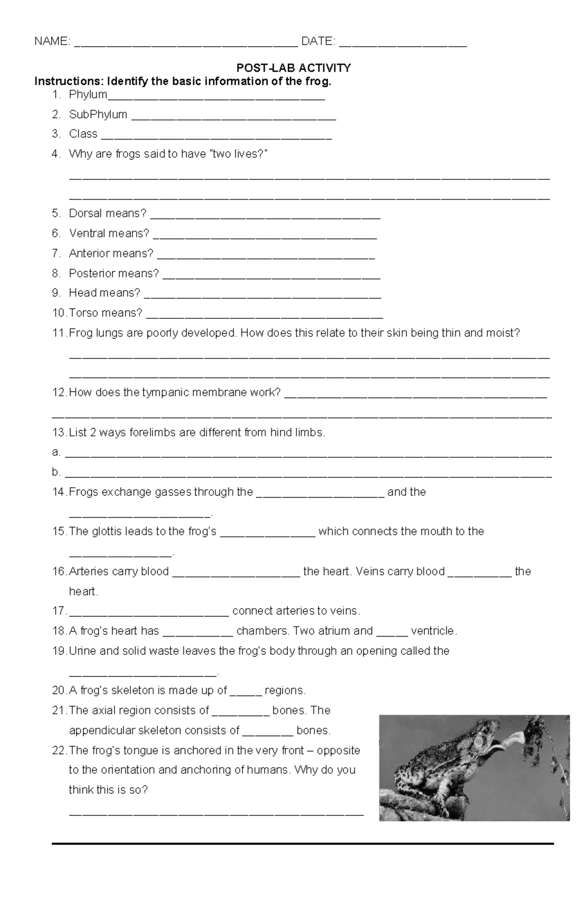 Frog Dissection Lab Activity Worksheet (BIO 101) - Studocu